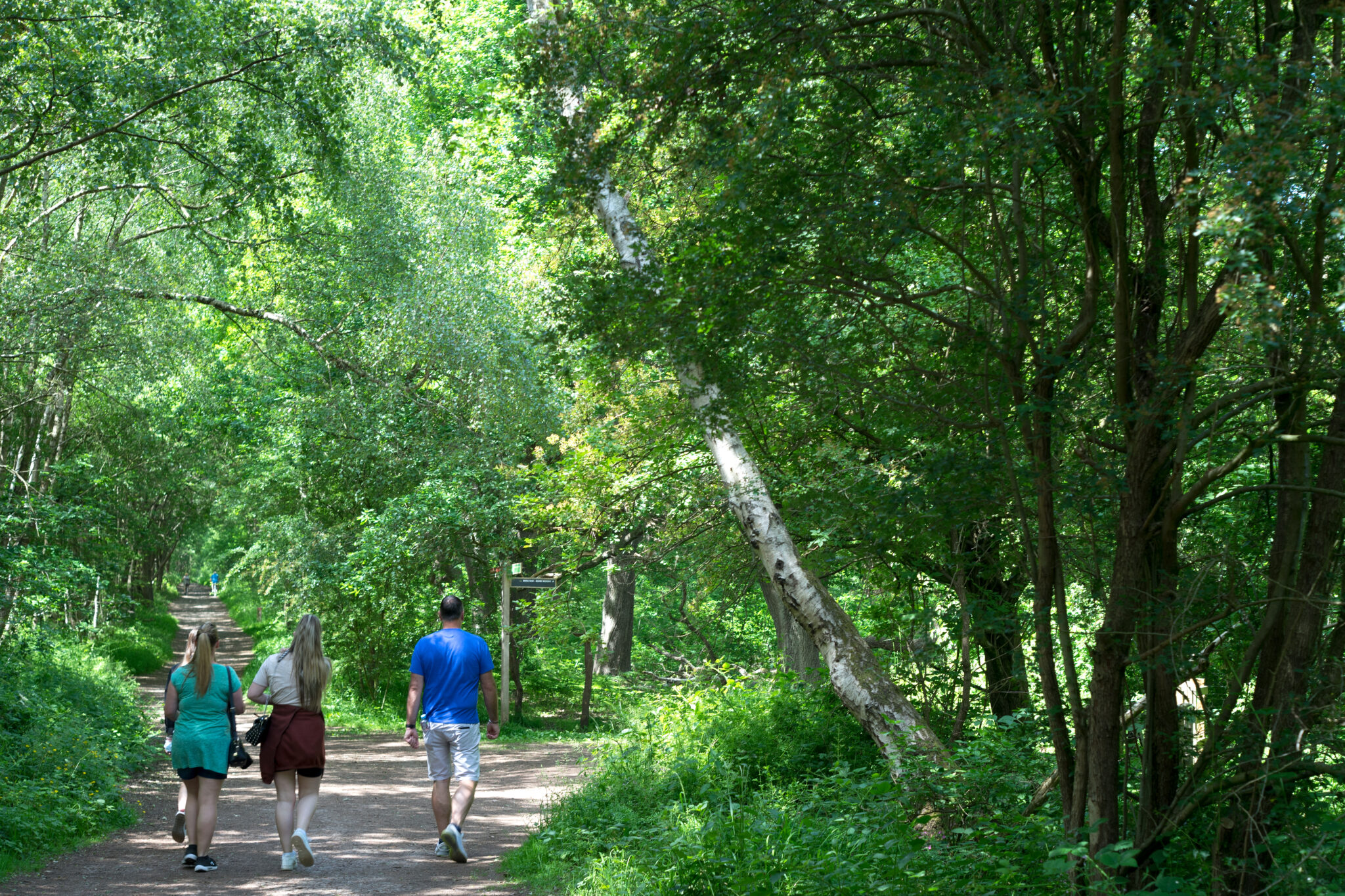 Robin Hood - The Sherwood Forest Trust Charity