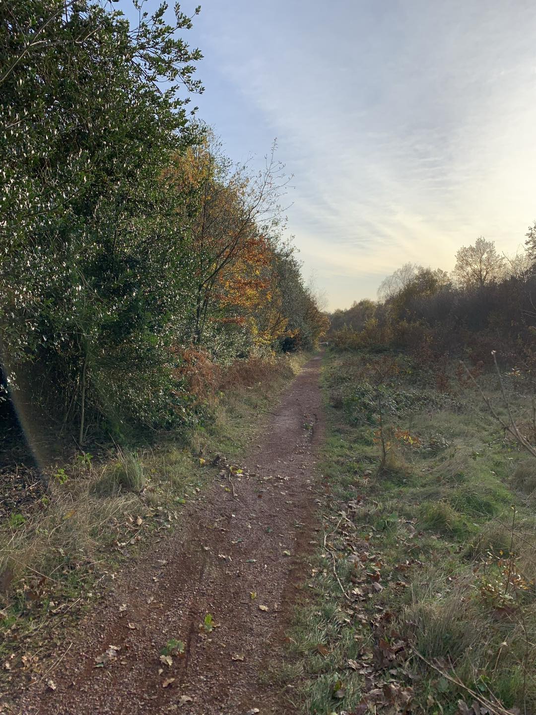 Sherwood's No Longer Forgotten Heathlands - The Sherwood Forest Trust ...